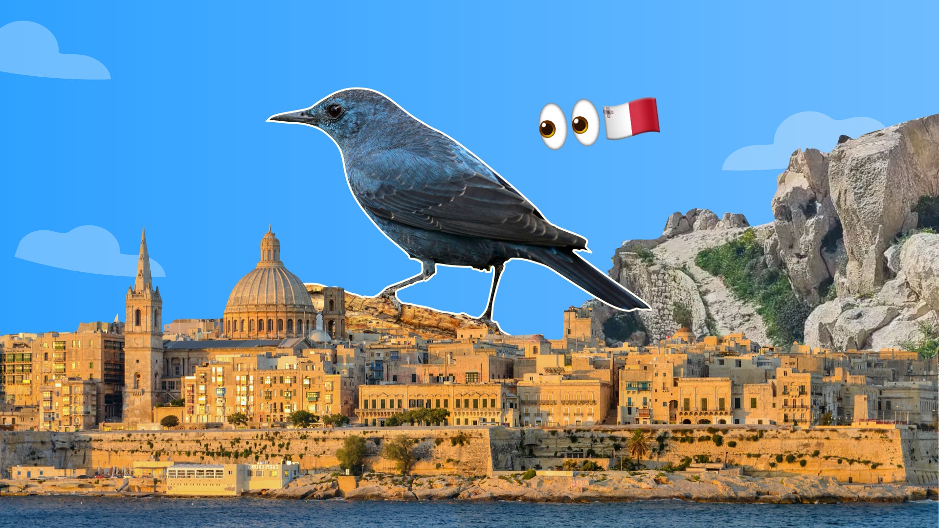 The Blue Rock Thrush, Malta's National Bird. – Archipals
